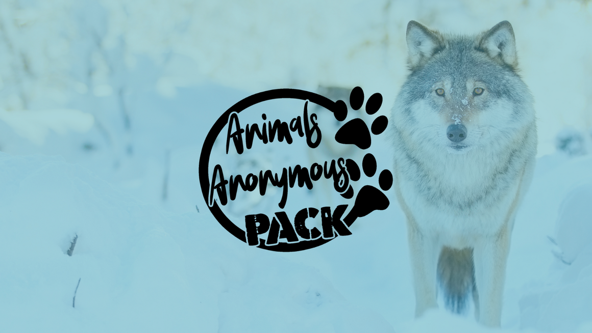Animals Anonymous Apparel