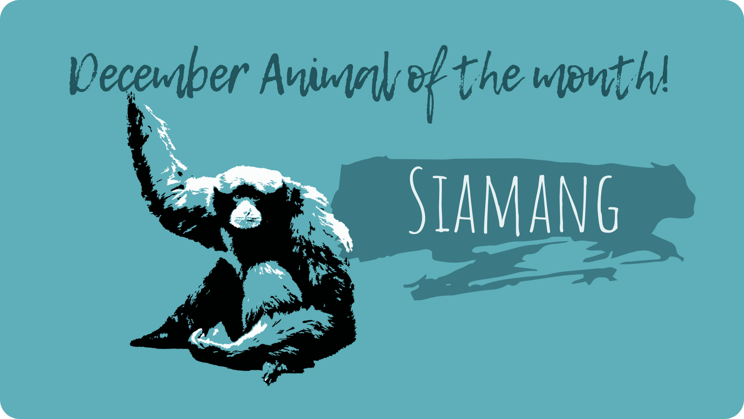 Animals Anonymous Apparel